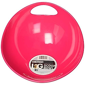 Petmate 23565 5-Cup Studio Scoop Dog Dish, Large, Hibiscus