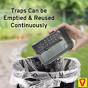 Victor 6 M333 Multiple Catch Humane Outdoor and Indoor Mouse Trap, Black