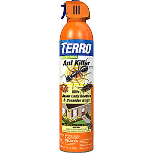 TERRO T1700 19 oz. Outdoor Ant Killer Spray, 1 Pack, Orange
