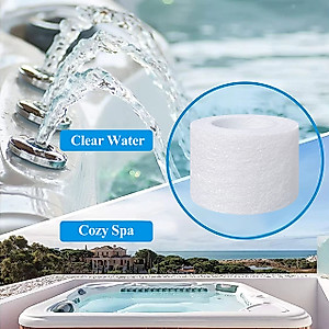 Cryspool Spa Filter Compatible with Sundance 6540-502, 850 & 780 Series, Throwaway Absorbtion Filter, FC-2812, 2 Pack