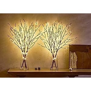 LITBLOOM Lighted Brown Willow Branches 30IN 150 LED Plug in with Timer and Dimmer Tree Branch Lights with Warm White Lights for Holiday Christmas Home Decoration