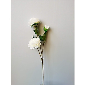 Artfen 5 Pcs Artificial Silk European Rose Flower Peony Flower Long Stem Fake Plastic Flowers Home Garden Party Wedding Decoration DIY Wreath Approx 26'' High White