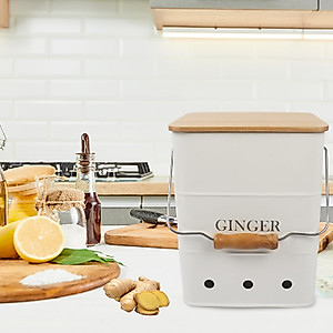 Eco-Friendly Bamboo Lid Metal Garlic Storage Box with Ventilated Countertop Vegetable Bin for Ginger, Potatoes, and Onions - Airtight, Portable Kitchen Organizer