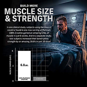 Creatine Monohydrate Powder | MuscleTech Platinum | Pure Micronized | Muscle Recovery + Builder for Men & Women | Workout Supplements | Unflavored (80 Servings)