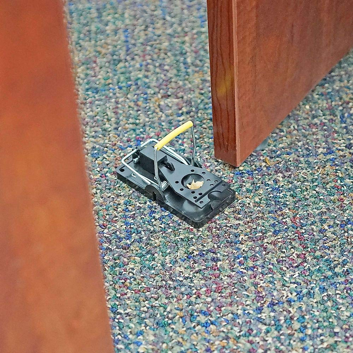 iTrap Easy Set Snap Mouse Traps w/Bait Cups, 6 Pack Simple Deadly Rodent Pest Control for Home or Office