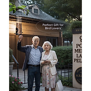 Ahig Tube Bird Feeder with 2 Feeding Ports for Outdoors Hanging,Premium Hard Plastic&Steel Hanger,Weatherproof,Attracting Wild Birds,Yard Decoration,Gift for Bird Lovers