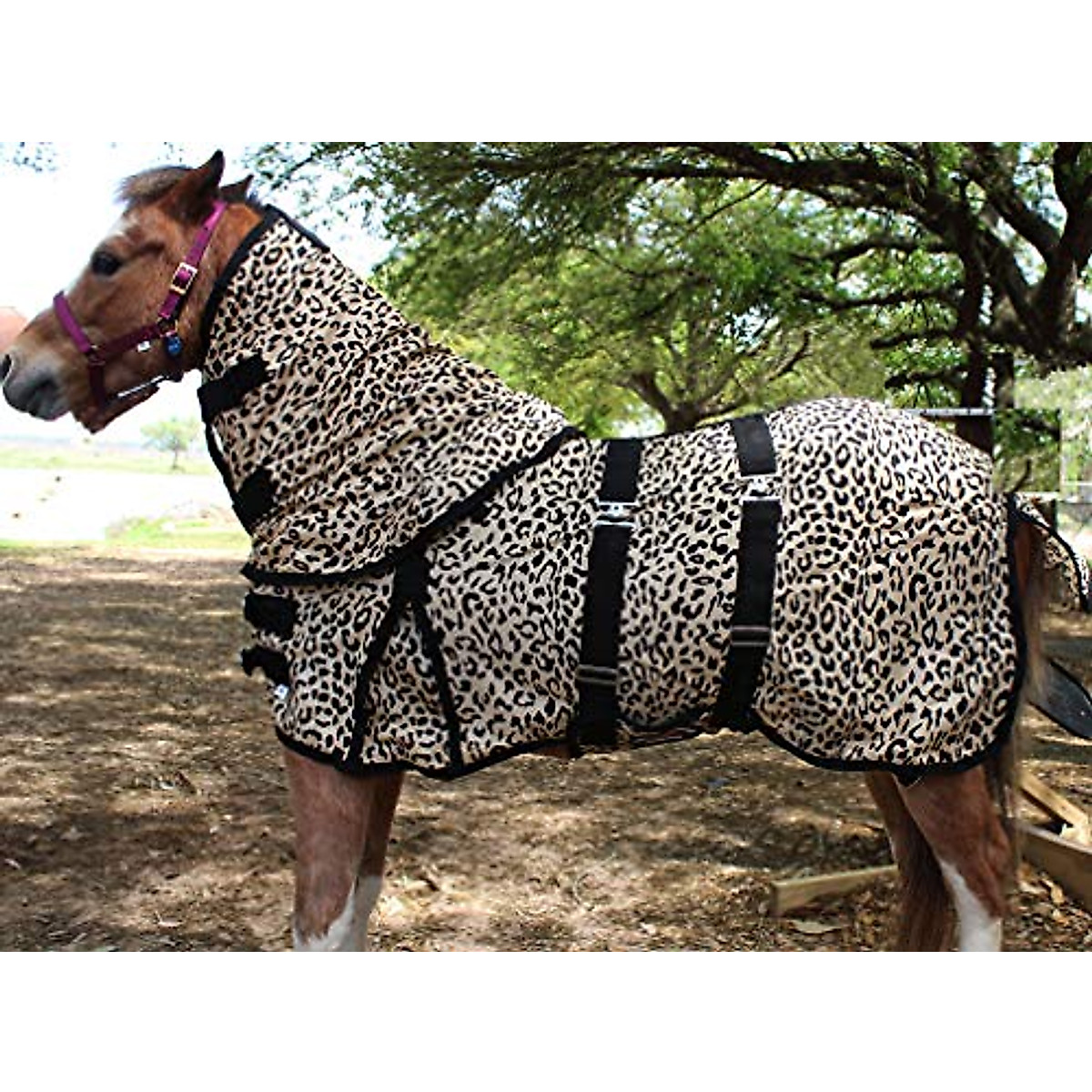 CHALLENGER 36" Miniature Weanling Donkey Pony Horse Foal Summer Sheet 51817