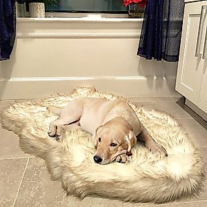 IHAPPYDOG Luxury Faux Fur Orthopedic Dog Bed, Memory Foam Dog Bed​ for​ Small, Medium, Large and XL Pets, Fluffy Pet Rug with Waterproof ​and ​Washable Cover, White, Medium 40x25”