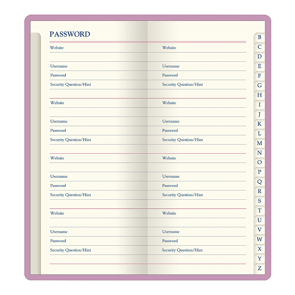 Letts Icon Slim Pocket Password Book, Cream Paper, 160 Pages, 5.75 x 2.75 x 0.375 Inches, Pink (B090131)