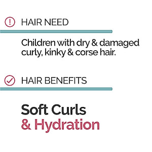 Novex My Small Curls Activator 300 ml