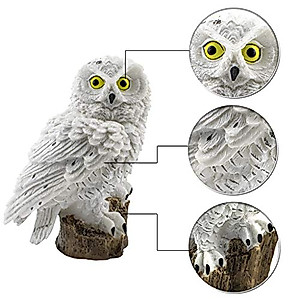 DSDecor Garden Solar Lights Outdoor Decorative Resin Owl Solar LED Lights with Stake for Garden Lawn Pathway Yard Decortions