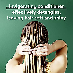 Suave Conditioner Revitalizing Rosemary + Mint Paraben Free Hair 12.6 oz