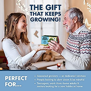 Bonsai Tree Kit - Grow 3 Mini Bonsai Trees, Indoor Plant Growing Kit - Bonsai Starter Kit with Bonsai Seeds, Soil, Planters & Shears, Gardening Gifts for Women, Fathers Day Gardening Gifts