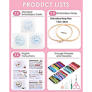 TINDTOP Beginners Embroidery Stitch Practice kit, Embroidery Kit for Beginners Include Embroidery Cloth Hoops Threads for Craft Lover Hand Stitch with Embroidery Skill Techniques (Colorful)
