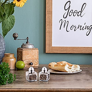 Mimorou 100 Pack Mini Salt and Pepper Shakers Bulk 0.5 Oz, Small Cube Glass Spice Shaker Container with Stainless Steel Lid for Kitchen Restaurant Travel Home Camp Party Supplies