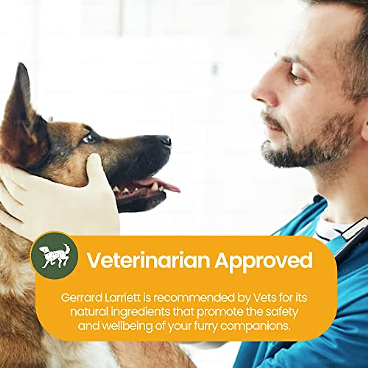 Gerrard Larriett - Natural Pet Stain & Odor Remover, Cleaning Pet Supplies with Citrus Oil Blends, All-Natural Pet Stain Remover for Furniture, Floors and Carpets, Pet and Kid-Safe, 16 oz