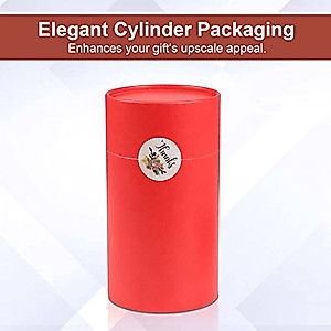 Large Red Car Bow Ribbon 23 Inchs- Decoration Wrap for Birthday, Wedding, and Giant Presents- Come with Two Suction Cup (Red)