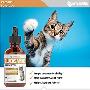 Glucosamine for Cats | Cat Glucosamine | Glucosamine for Cats Liquid | Cat Joint Supplement | Joint Supplement for Cats | Cat Joint Pain Relief | Joint Support for Cats | 1 fl oz: Chicken Flavor