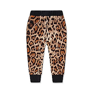 Baby Girls Floral Hoodie+ Floral Pant Set Leggings 2 Piece Outfits for 6M-3Y (18-24Months, Leopard)