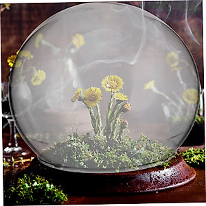 Abaodam 9 Pcs Round Glass Cover Wall Vases for Flowers House Plants Clear Cake Stand Bell Jar Display Dome Clear Platter Cover Cake Protector Party Dessert Cover Dessert Protective Cover