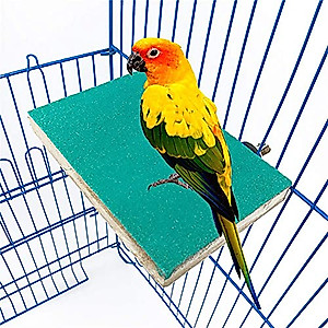 NEWCOMDIGI Colorful Bird Perch Stand, Birdcage Toys, Natural Wood Platform and Paw Grinding Sticks for Parrot, Budgies, Parakeet, Cockatiels, Hamster, Conure, Lovebirds, Gerbil, Rat, Mouse(4 PCS Set)