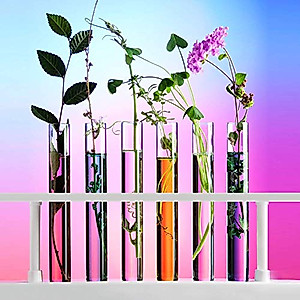 Joyclub 20x150mm 35ml Plastic Test Tubes with Cork Stoppers for Scientific Experiment, Halloween, Christmas, Scientific Themed Kids Birthday Party Supplies, Decorate The House, Candy Storage(30 Pack)