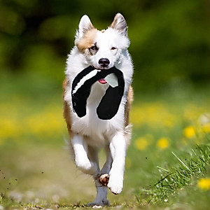 Large Dog Toys Set of 3 Plush Stuffingless Animals 24 Inches - Skunk/Wolf Squeaky Toys - Duck Squeaky w/ Crinkle Body and Rope for Tug. Rubber Ball for Aggressive Chewers Medium/Large Dogs + Carry Bag