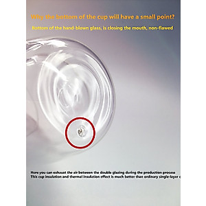 Zaoniy 12 oz Double-wall Glass Tea & Coffee Cup Mug W/Lid and Tea, Heat Resistant, Easy to Brew and Clean