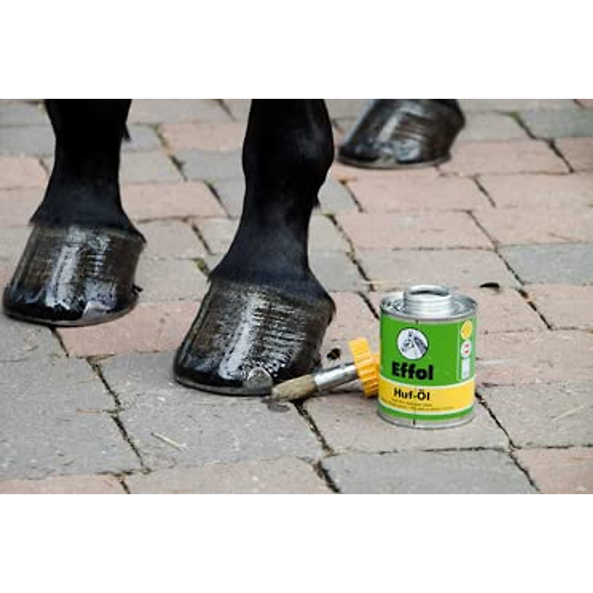 Tack Shack of Ocala Effol Hoof Ointment, Effol Hoof Oil, Effol Black Hoof Ointment, Hoof Ointment for Horses, Hoof Oil for Horses, Hoof Care for Horses, Hoof Ointment (Hoof Oil (16.7 fl oz))