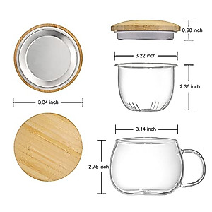 Glass Tea Infuser Cup Gift Set, Glass Teacups with Removable Strainer and Bamboo Lid for Steeping Blooming Tea, Loose Leaf Tea, Lead-free, Microwave & Dishwasher Safe,13oz/380ml
