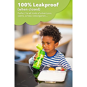 Jarlson kids water bottle with straw - CHARLI - insulated stainless steel water bottle - thermos - girls/boys (Dinosaur 'Star', 12 oz)