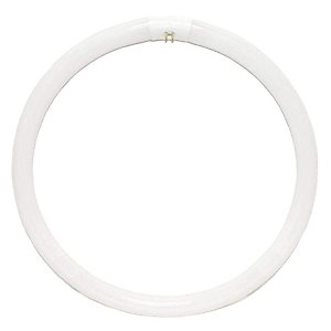 GE 11052 - FC16T9/D 16 Inches Long Circular T9 Fluorescent Tube Light Bulb