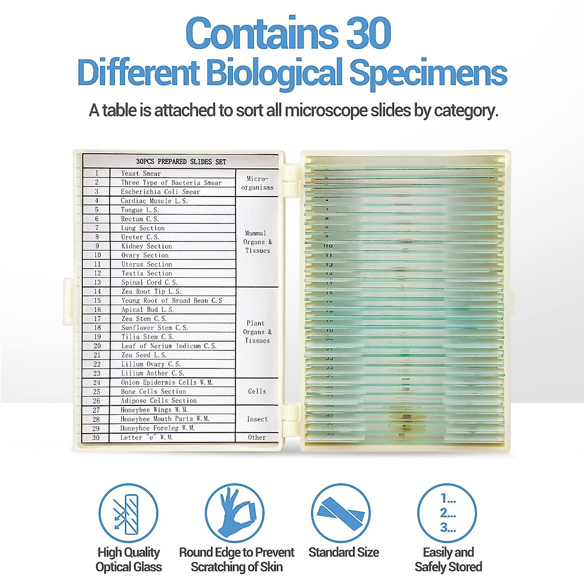 30 Microscope Slides with Specimens for Kids, Prepared Microscope Slides for Kids Microbiology, Glass Slides for Microscope, Biology Gifts for Adults Kids