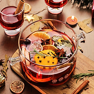 Glass Saucepan 2.0 Liter - Heat Resistant Glass Cooking Pot with Lid Sauce Pan for Soup, Pasta & Baby Food (2000ml/68oz)