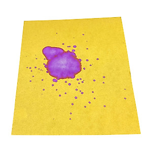 Chlor Phenol Red (CPR) 8 in x 10 in Test Paper Sheets [Pack of 24]