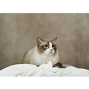 Kate 5x7ft/1.5x2.2m Tan Portrait Backdrop Headshot Background Light Brown Texture Fabric Photography Studio Props