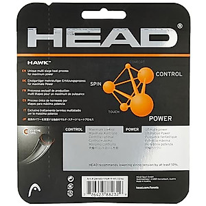 HEAD Hawk Tennis Racket String 40' Set - 16 Gauge Monofilament Racquet String, Grey