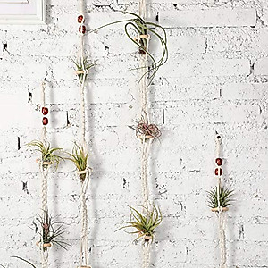 4 Pieces Air Plants Holders Air Plant Hanger Air Plant Wall Hanger Handmade Rope Hanging Air Plant Holder Woven Hanging Plant Hanger with 4 Hooks for Home Decoration