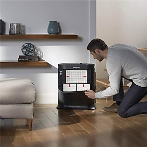 Honeywell HEPA Air Purifier Filter R, 1-Pack for HPA 100/200/300 and 5000 Series - Airborne Allergen Air Filter Targets Wildfire/Smoke, Pollen, Pet Dander, and Dust