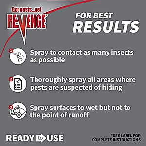 REVENGE Termite & Carpenter Ant Killer, 15 oz Ready-to-Use Aerosol Spray, Kills on Contact and Long Lasting Control