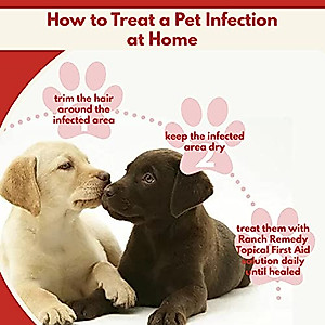 Ranch Remedy Topical First Aid Pain Relief Spray | Natural Wound Care for Infections, Itch, Warts, Rash, Hot Spot Treatment for Dogs, Cats & Farm Animals