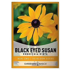 Black Eyed Susan Seeds for Planting - Rudbeckia Hirta Flower Seeds for Cut Flower Gardens Beautiful Yellow and Black Flowers to Grow in Your Garden by Gardeners Basics