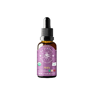 Sun God Medicinals Ra Herbals Organic Alfalfa Liquid Extract - Detox Support - 1 fl oz