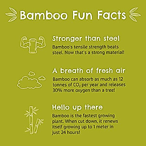 Munchkin® Bambou™ 5oz Open Training Cup for Babies and Toddlers, Non-Toxic Bamboo and Food-Grade Silicone