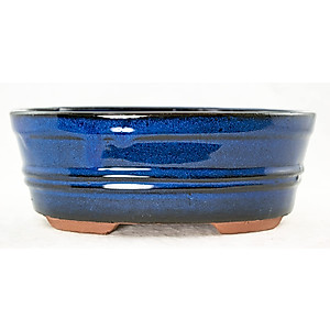 bigsnowball 8" Oval Dark Blue Bonsai/Cactus & Succulent Pot + Tray + Rock + Mesh Combo