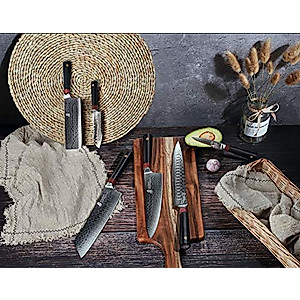 TUO Damascus Chef's Knife - Kitchen Chef Knives - Japanese AUS-10 Damascus Steel - Dishwasher Safe G10 Handle - Gift Case Included - RING-RC Series TC0301RC - 8"