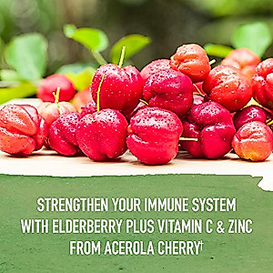 Garden of Life Elderberry Zinc Immune Support for Adults and Kids 12 & Older, mykind Organics Cough & Mucus Immune Syrup 5 fl oz with Ivy Leaf, Vitamin C and Echinacea, No Added Sugars