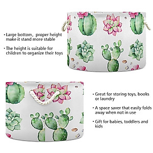 ALAZA Cacti Cactus Succulent Plants Storage Basket Gift Baskets Large Collapsible Laundry Hamper with Handle, 20x20x14 in, Multi, B06D20005
