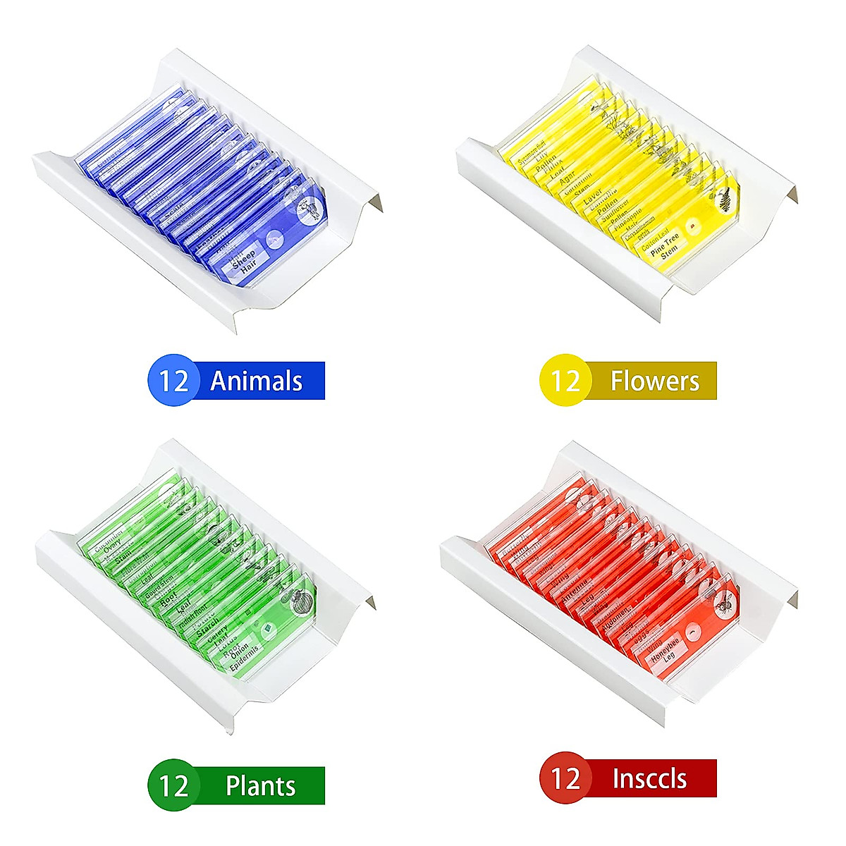 Microscope Sample Prepared Slides 48pc Kids Plastic Prepared Microscope Slides of Animals Insects Plants Flowers Sample Specimens for Stereo Kids Science Toy Educational Toy