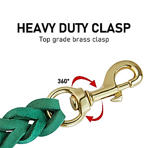 Leather Dog Collar for Medium Dogs with Braided Leather Dog Leash 4 Foot x 5/8"